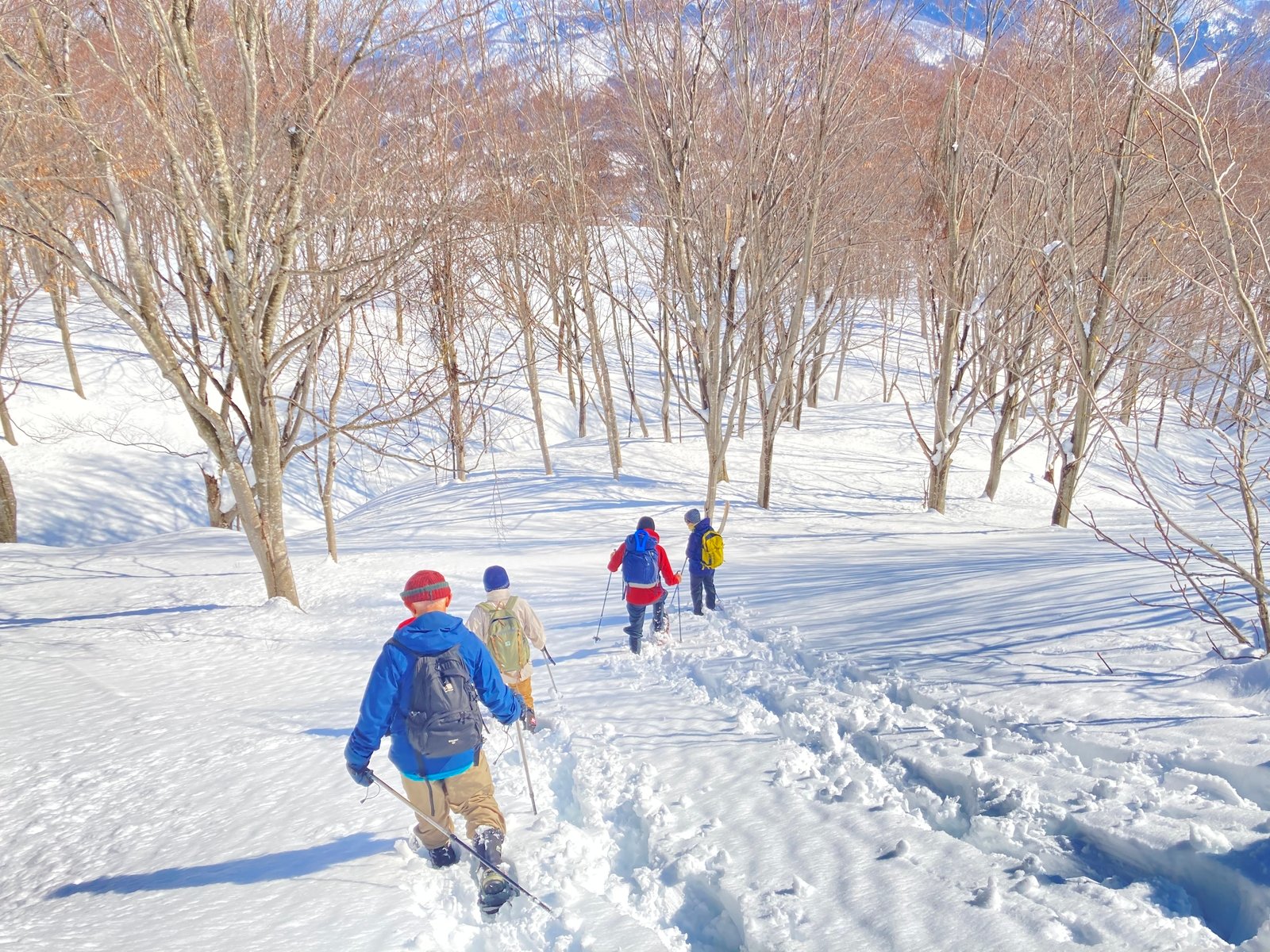 Cozy Cabins and Snowshoeing in Iiyama's Snow Country | Go! NAGANO ...