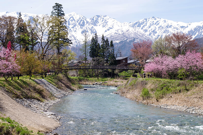 Nagano’s Top Cherry Blossom Spots | Go! NAGANO Official Travel Guide of ...