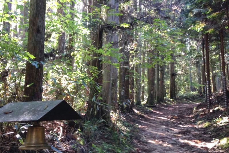 Seven Ways to Enjoy the Kiso Valley this Summer | Go! NAGANO Official ...