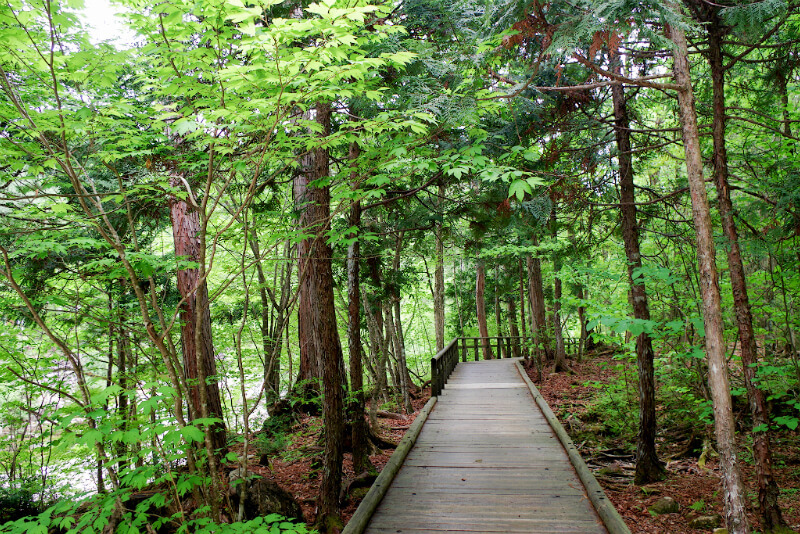 Seven Ways to Enjoy the Kiso Valley this Summer | Go! NAGANO Official ...