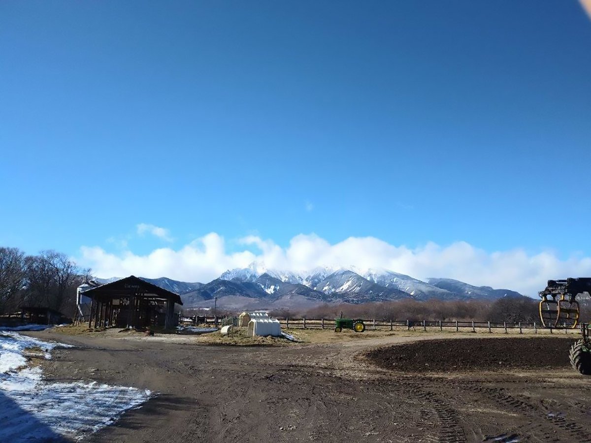 Have a Hankering to Ride? Head to Nagano’s Highland Horse Ranches | Go ...