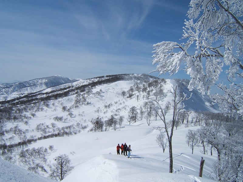 Five Ways to Enjoy the Snow | Go! NAGANO Official Travel Guide of ...