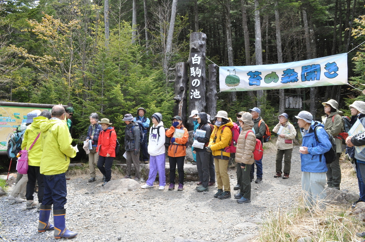 梅雨に美しさ増す、日本有数のコケの森 ――小さな魅惑の世界に触れる「北八ヶ岳 苔の観察会」 | Go! NAGANO 長野県公式観光サイト