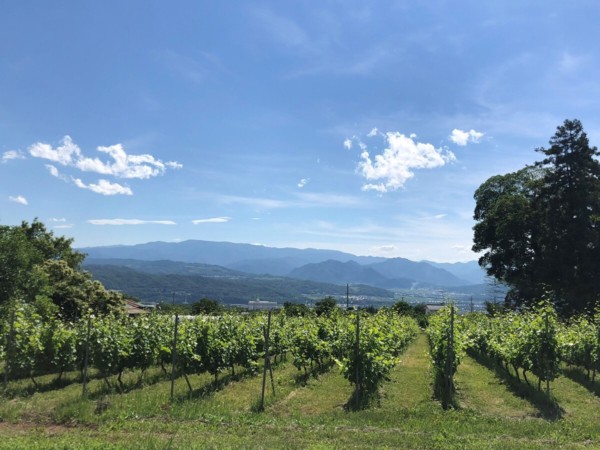 Exploring the Many Great Wineries of Nagano | Go! NAGANO Official ...