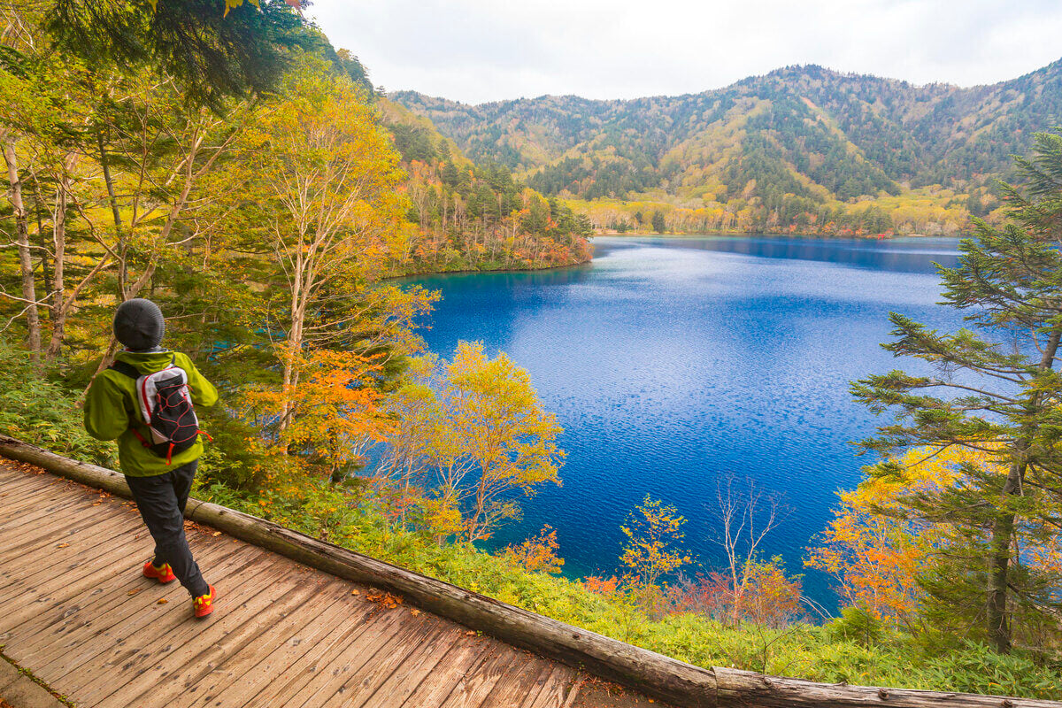 The Jigokudani Wild Snow Monkey Park [Guide] | Go! NAGANO Official ...
