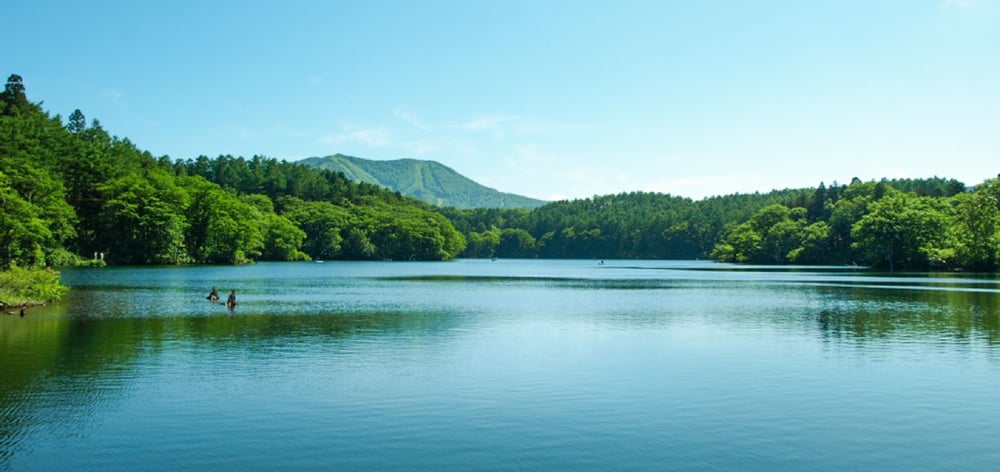 The Best Ski Resorts around Nagano | Go! NAGANO Official Travel Guide ...