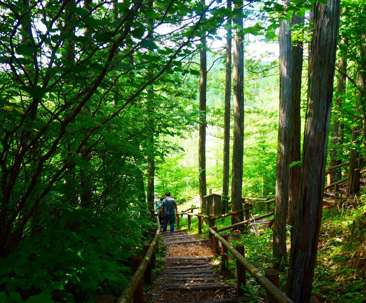 Experience Outdoor Activities in Nagano from Spring to Fall | Go ...